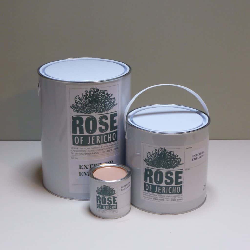 Exterior Emulsion Paint | Exterior Wall Paint | Rose of Jericho